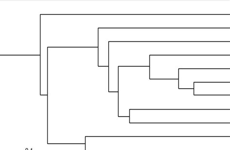 Dendrogram Constructed From The Genetic Similarity Jaccards