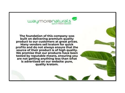 Ppt The Importance Of Lab Tested Kratom For Safety Powerpoint Presentation Id14383264