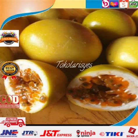 Jual Buah Markisa Kuning Shopee Indonesia