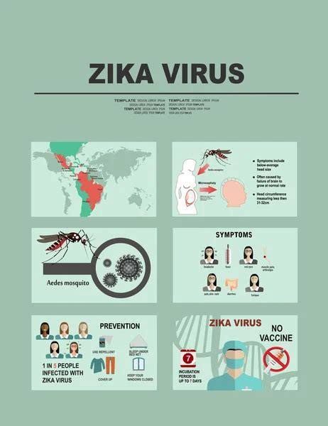 Zika Virus Infographic Elements — Stock Vector © Mitay20 104957002