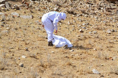 Хачгаар дамжих халдварын байгалийн голомтын судалгаа хийгдэж байна ЗӨСҮТ