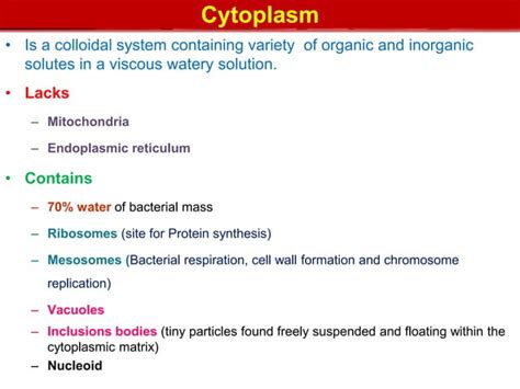 Bacterial Morphology Ppt