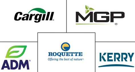 밀 단백질 시장 규모 추세 성장 분석 및 연구 보고서 2030