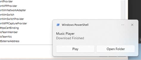Toast Notification Text Alexandru Marin