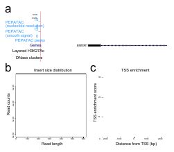 ATAC Seq Pipeline Processing