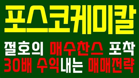 포스코케미칼 포스코케미칼주가 포스코케미칼분석 포스코케미칼대응 포스코케미칼주식 양극재 음극재 Youtube