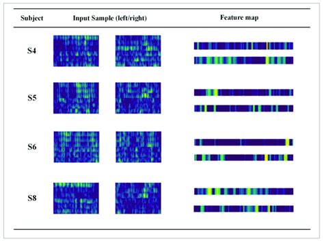 Visualization Of The Feature Maps Of The Randomly Selected Subjects
