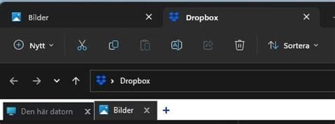 File Explorer Tabs Issues Windows Forum