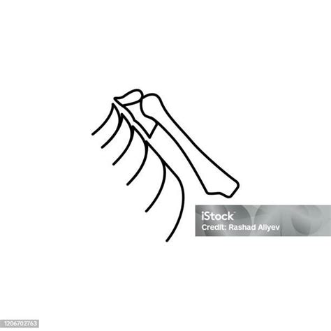 갈비뼈 뼈 외상 아이콘입니다 Ui 및 Ux 웹 사이트 또는 모바일 응용 프로그램에 대한 외상 성 아이콘의 간단한 라인 개요 벡터 요소 개념에 대한 스톡 벡터 아트 및 기타