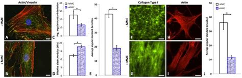 Macromolecular Crowding Directly Alters Organization Of Deposited Download Scientific Diagram