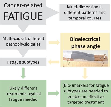 Icd 9 Fatigue And Weakness