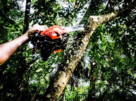 Echo CS T Review The Lightest Top Handle Chainsaw OPE Revie