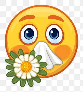 Hay Fever Sad Emoji With Floral Hair Png