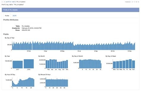 Data Profiling A Step By Step Introduction Silectis