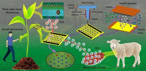 Schematic Illustration Of Fabrication Process Of Humidity Sensor Download Scientific Diagram