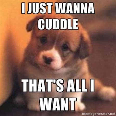 25 Cutest Cuddle Memes Sg Web