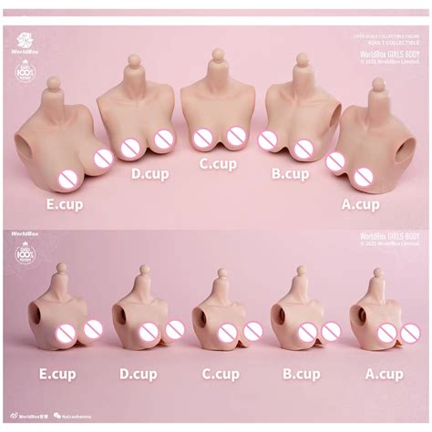 E Cup Size