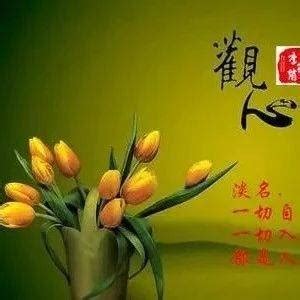 相遇靠缘分深交看人品 欢欢 安全感 俗人