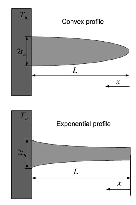 Schematic View Of A Longitudinal Fins Having Convex And Exponential Download Scientific Diagram