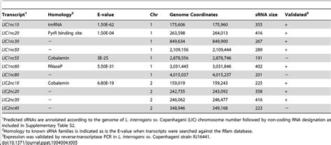 Candidate Small Non Coding Rnas Identified By Rna Seq Download Table