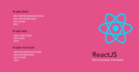 Reactreactjs Environment Variables