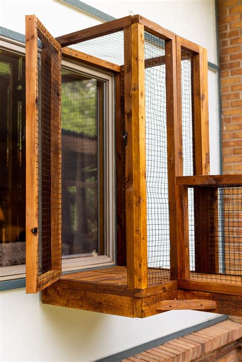 Cedar Wood The Optimal Lumber Choice For A Catio Cat Topia