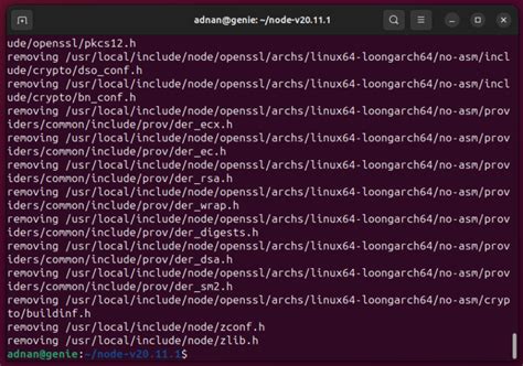 How To Install Nodejs On Ubuntu 2404 Linux Genie