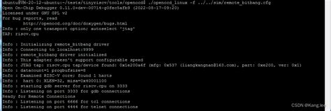2023 04 17 运行开源代码tinyriscv步骤及遇到问题 tinyrisc 仿真教程 CSDN博客