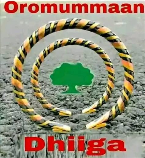 Dhugaa Qoosaa Keessaa