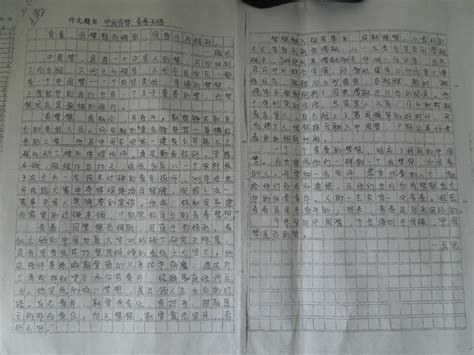 作文500字作文素材 作文500字 优秀作文500字 文秘苑图库