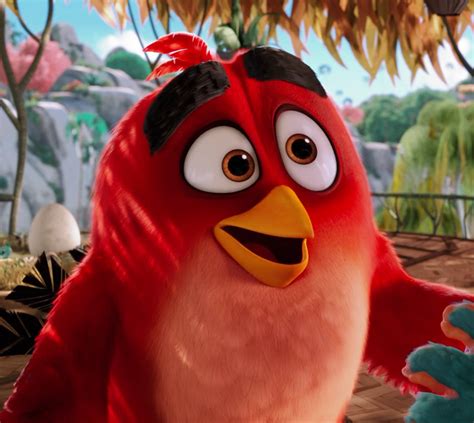 Red Angry Bird