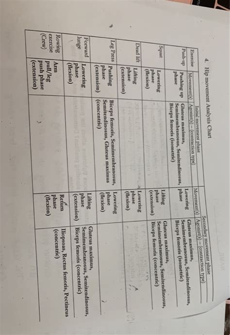 Solved Lifting 4 Hip Movement Analysis Chart Secondary