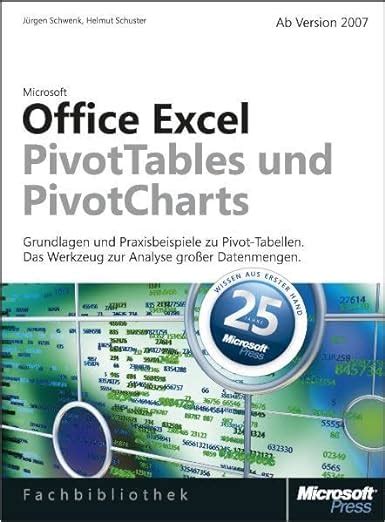 microsoft office excel pivottable und pivotchart analyse großer datenmengen ab version 2007