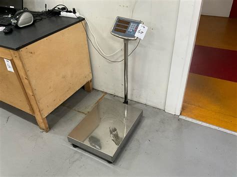 Paltform Scale Dome Auctions