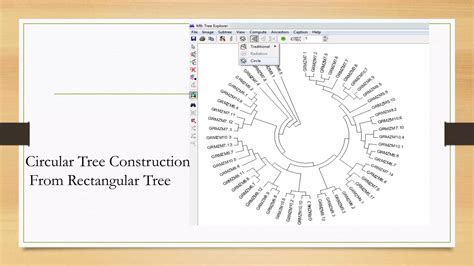Mega Molecular Evolutionary Genetics Analysis Pdf