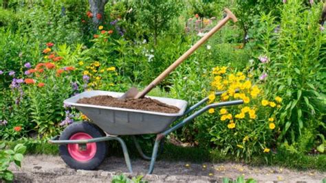 Facts And 10 Benefits Of Composting You May Not Know