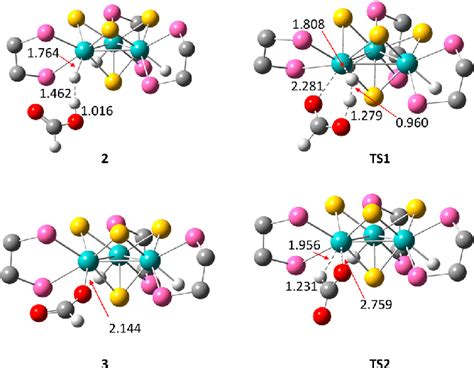 Dft Optimized Structures Of 2 3 Ts1 And Ts2 For Clarity Only The