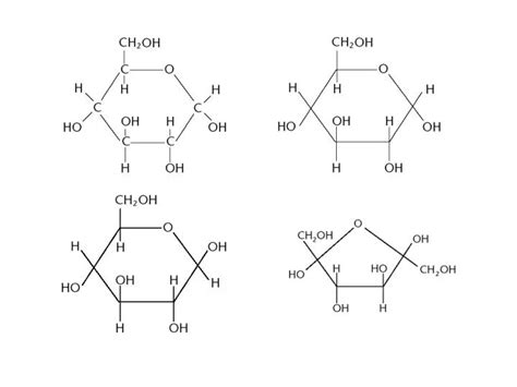 Ppt Monosaccharides Powerpoint Presentation Free Download Id304049