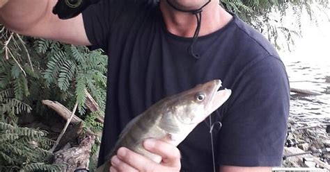 Smudj Album On Imgur