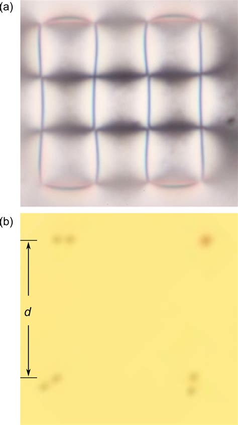 nematic lc cell with line defects a experimental polarizing