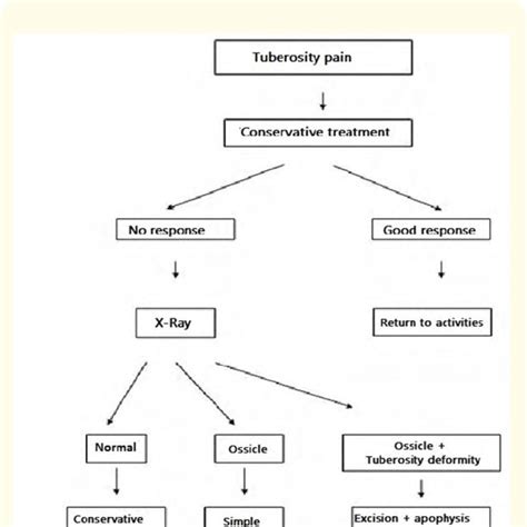Unresolved Osgood Schlatter Treatment Algorithm Download Scientific Diagram