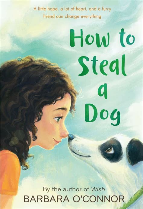 How to Steal a Dog Paperback 미국판 알라딘