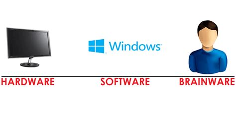 Hardware Software Brainware Homecare