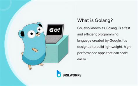 Golang Vs Nodejs What Ctos Need To Know