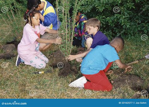 Bambini Che Piantano Gli Alberi Fotografia Editoriale Immagine Di