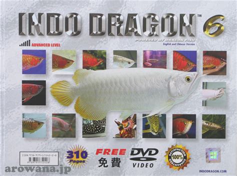 ザ古代魚 誠文堂新光社 最安値 金森鵜浦のブログ