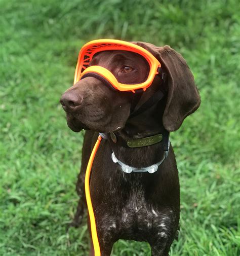 Rex Specs Have You Recently Received A Pair Of Rex Facebook