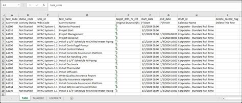 Importing XLSX Labor Resource Assignment Project Data Into P