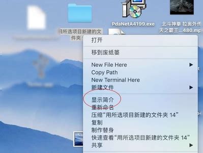 如何查看文件夹大小 Mac 百度知道