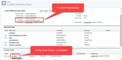 Summer17 Retrieve And Deploy Metadata Through Apex Technical Potpourri From Sudipta Deb
